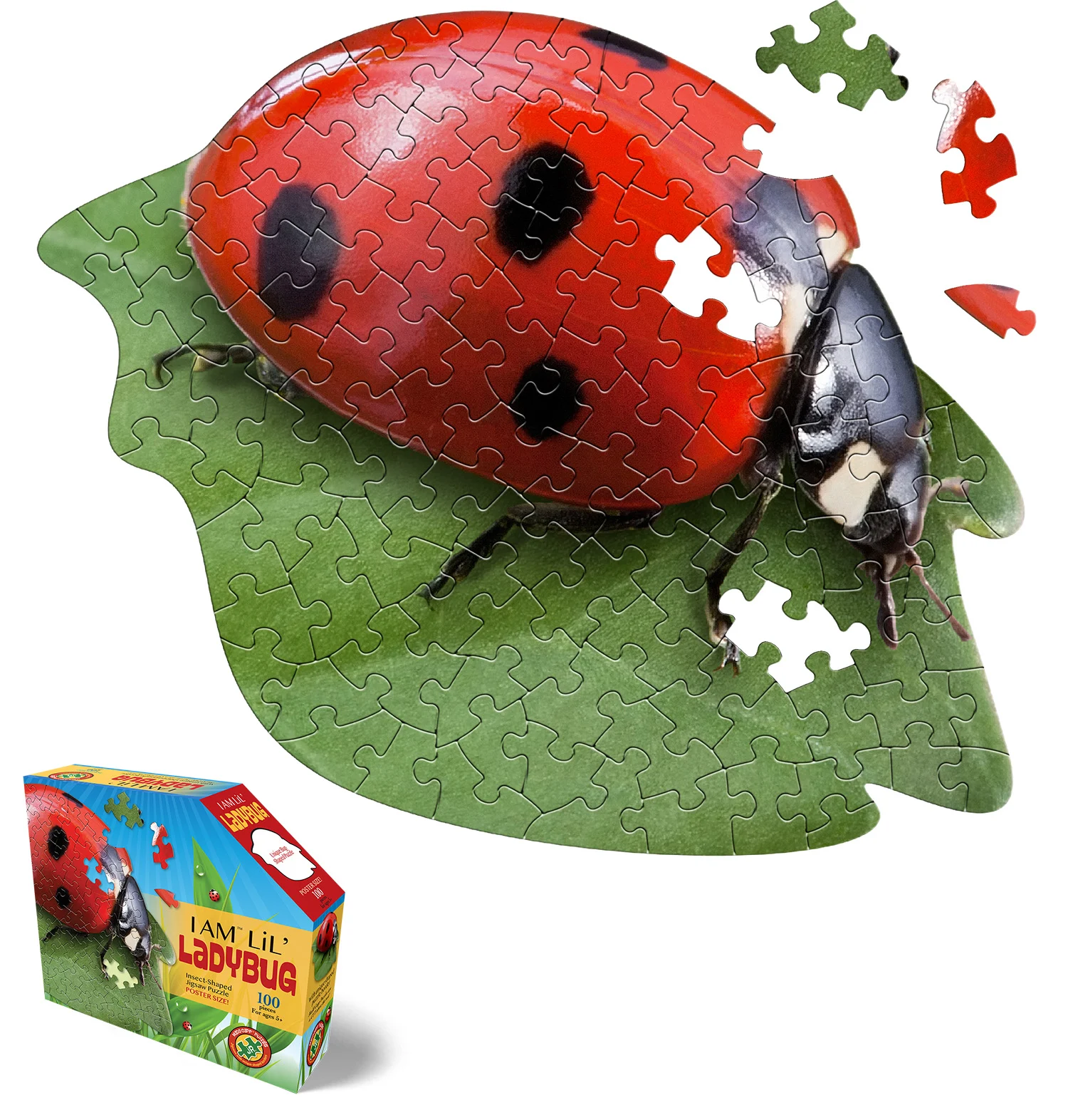 I Am Lil' Lady Bug - Scratch and Dent - 100 Piece Jigsaw Puzzle by Madd ...