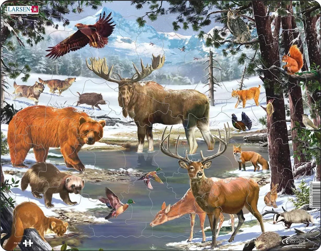 Canadian Animals 54 Piece Children's Jigsaw Puzzle - 54 Piece Jigsaw ...