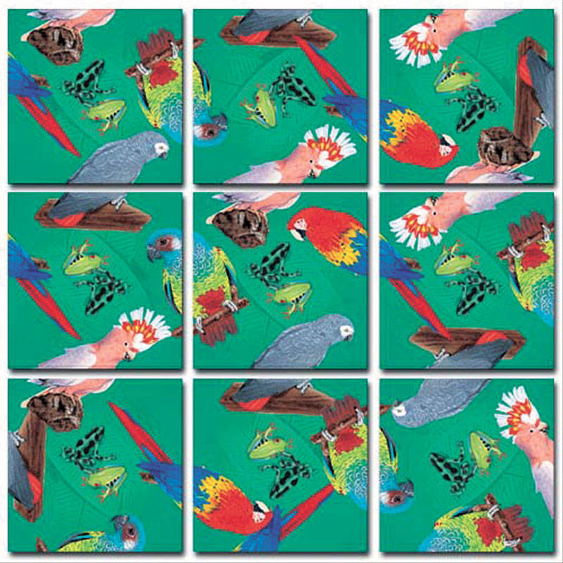 Parrots - 9 Piece Jigsaw Puzzle by Scramble Squares | Serious Puzzles