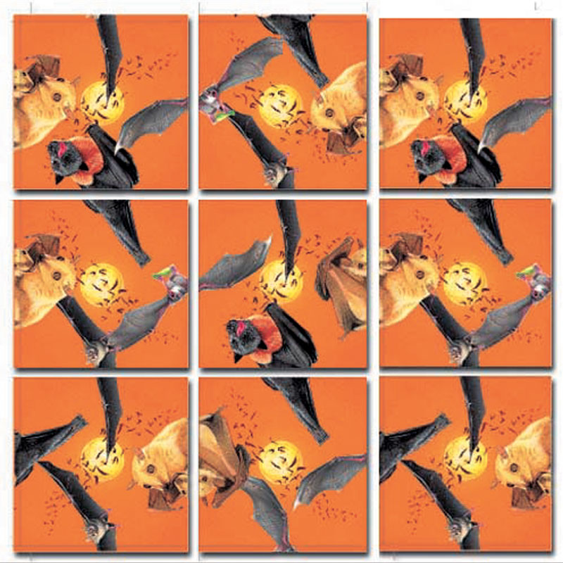 Bats - 9 Piece Jigsaw Puzzle by Scramble Squares | Serious Puzzles