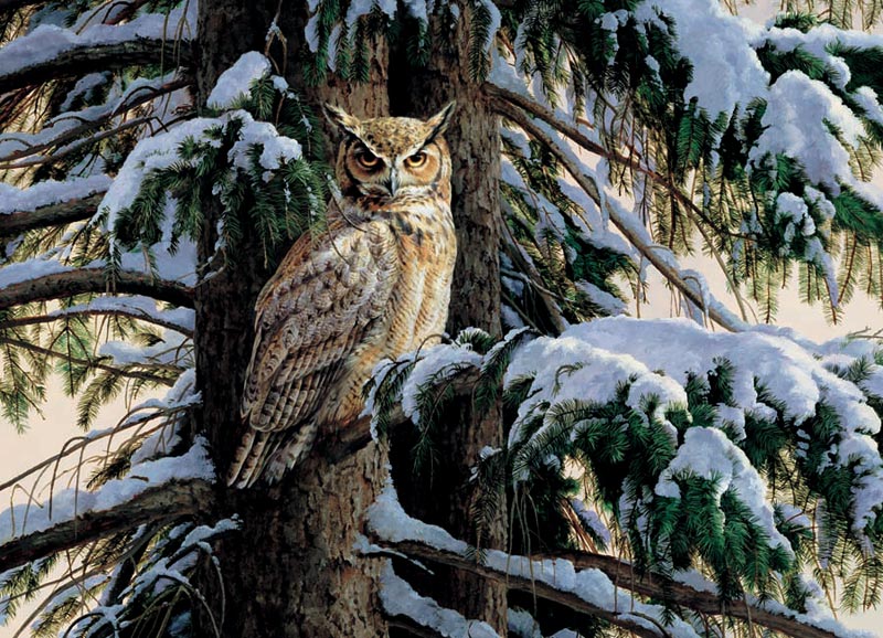 Snowy Perch, 1000 Pieces, Cobble Hill | Serious Puzzles