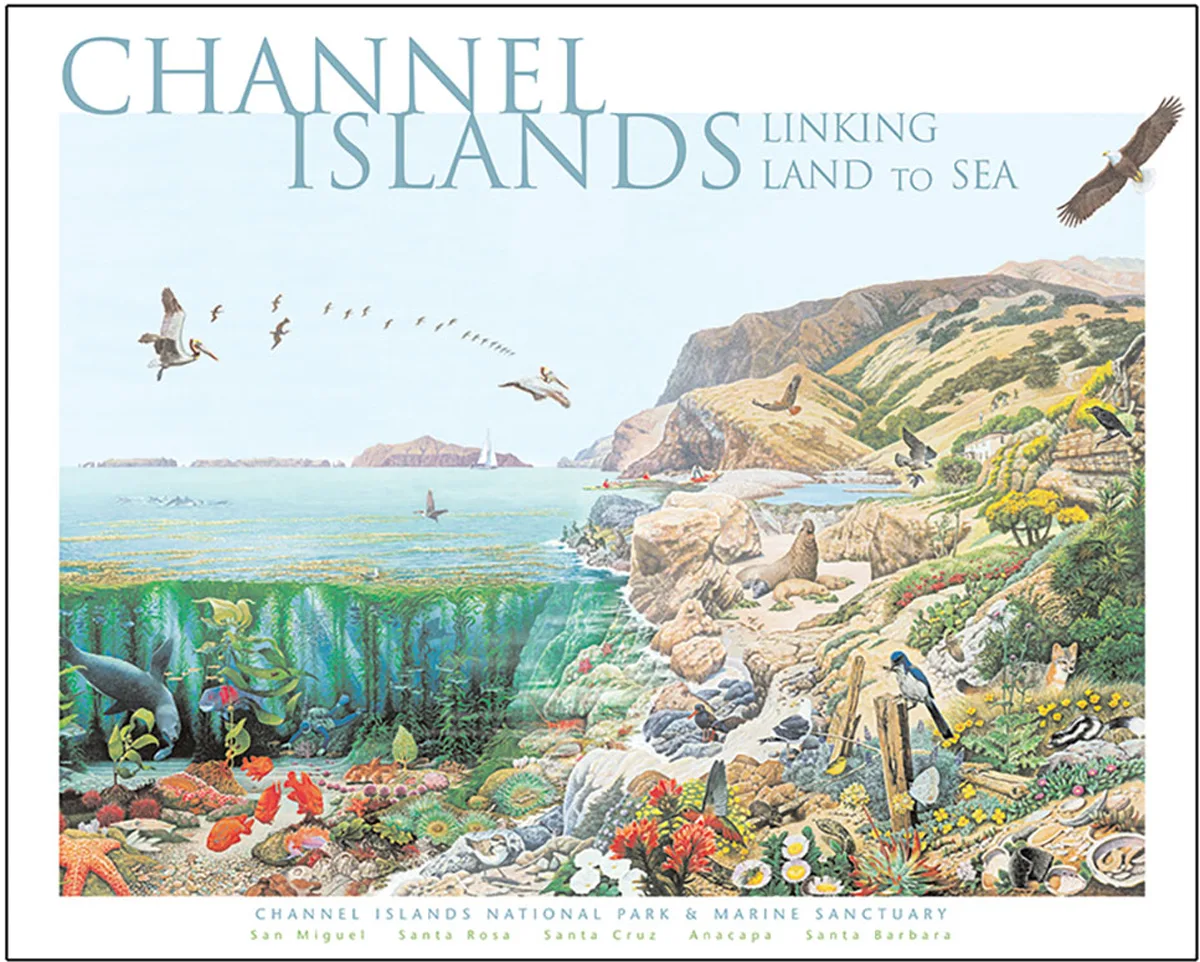 Channel Islands National Park - Scratch and Dent - 1000 Piece Jigsaw ...