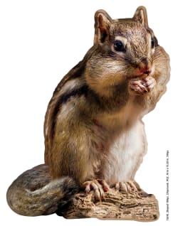 Chipmunk - 100 Piece Jigsaw Puzzle by MasterPieces | Serious Puzzles